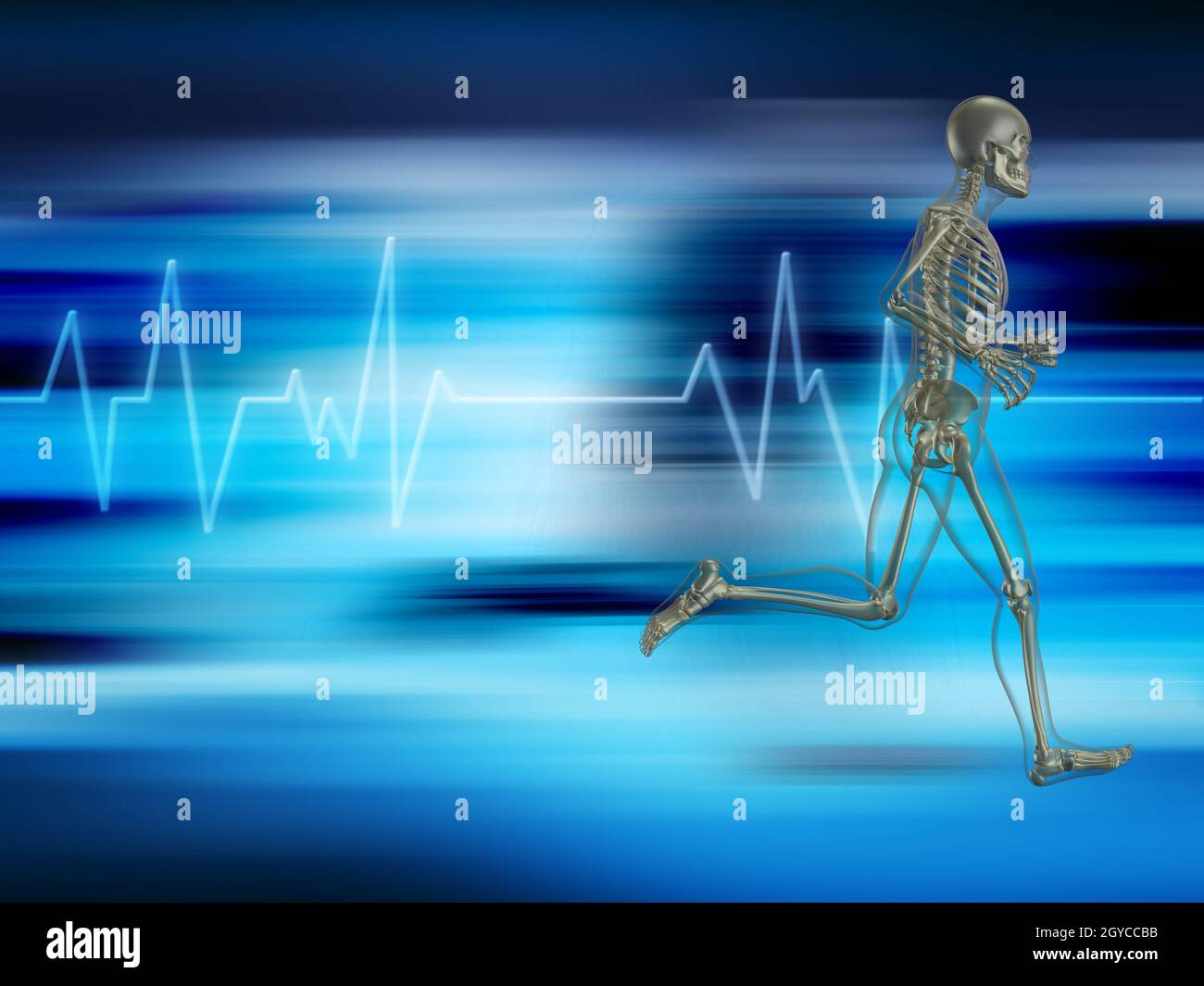 Running skeleton hi-res stock photography and images - Alamy