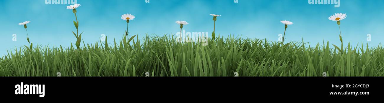 3D render of summer flowers in bloom Stock Photo - Alamy