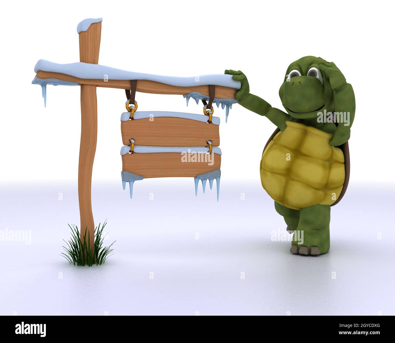 3d render of a tortoise with a frozen blank road sign Stock Photo - Alamy