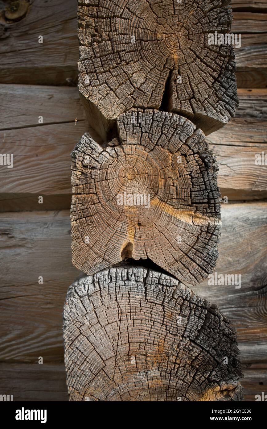 Wooden logs of an old house. Close-up. Weathered natural gray wood ...
