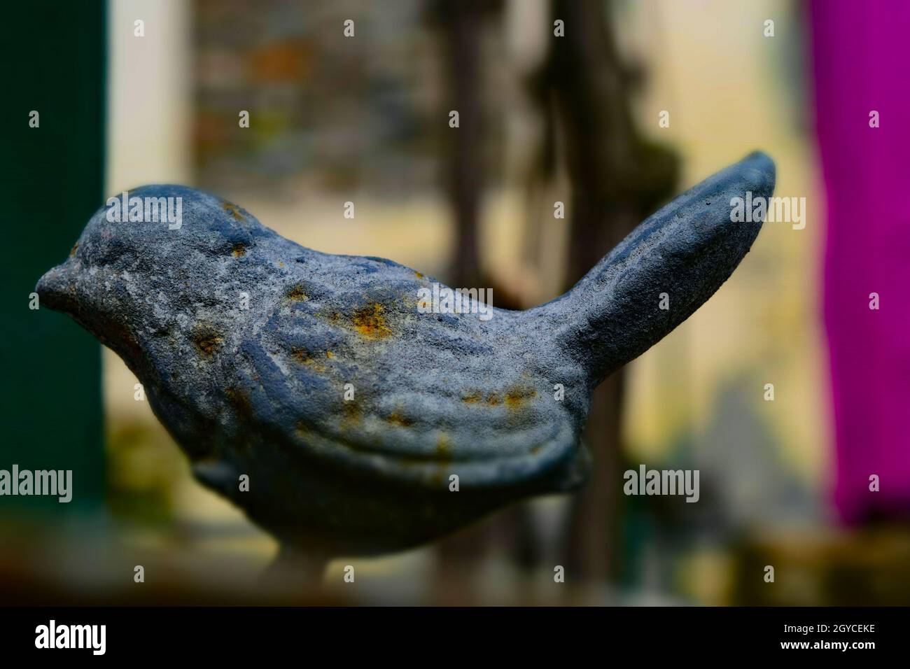 Grey stone bird hi-res stock photography and images - Alamy
