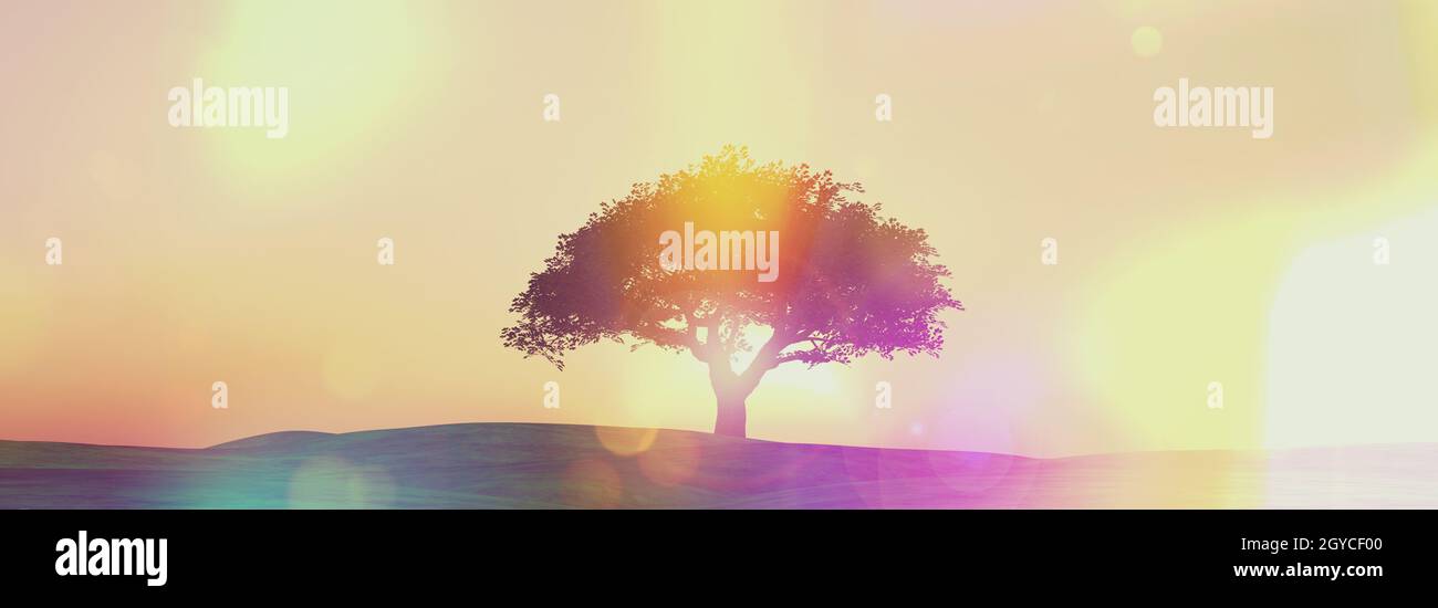 3D render of a sunset tree landscape in widescreen with retro effect ...