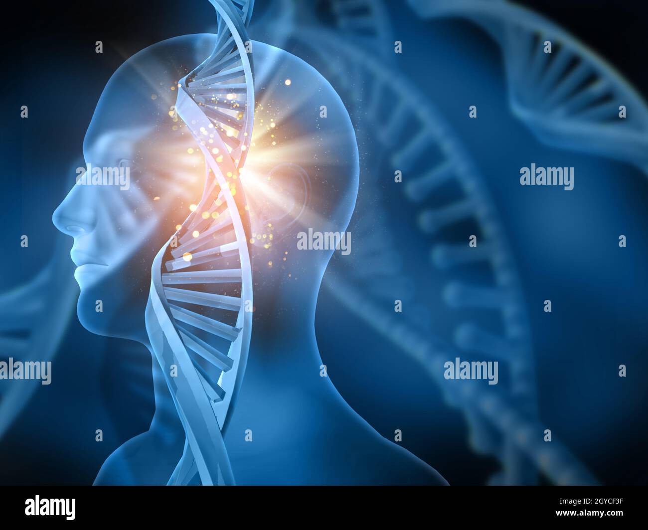 3D medical background with DNA strands and male head Stock Photo - Alamy