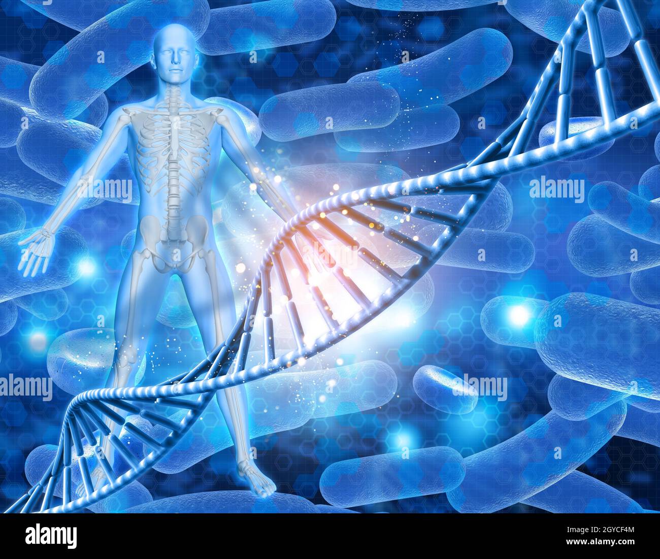 3D medical background with male figure with skeleton and DNA strands ...