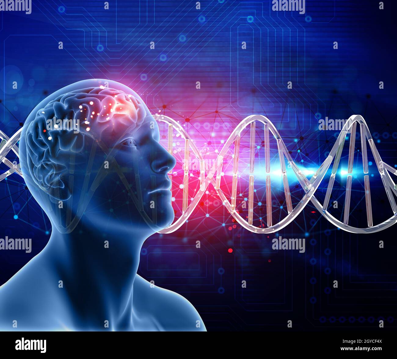 3D medical background with male head and brain on DNA strands Stock ...