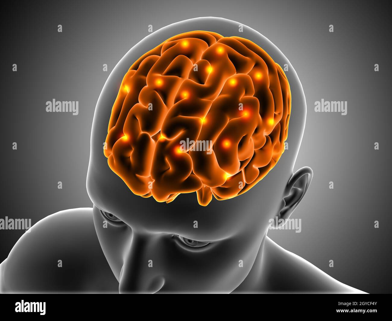 3D medical background with male figure with brain highlighted Stock ...