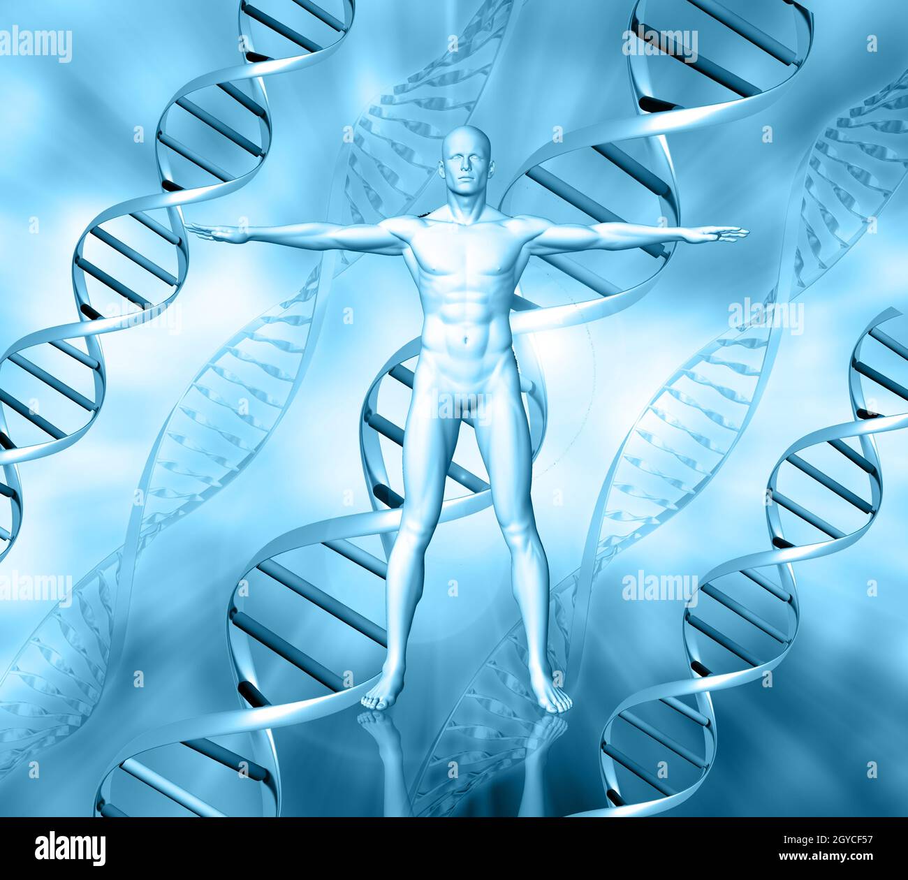 Medical background with 3D male figure on DNA strands background Stock ...