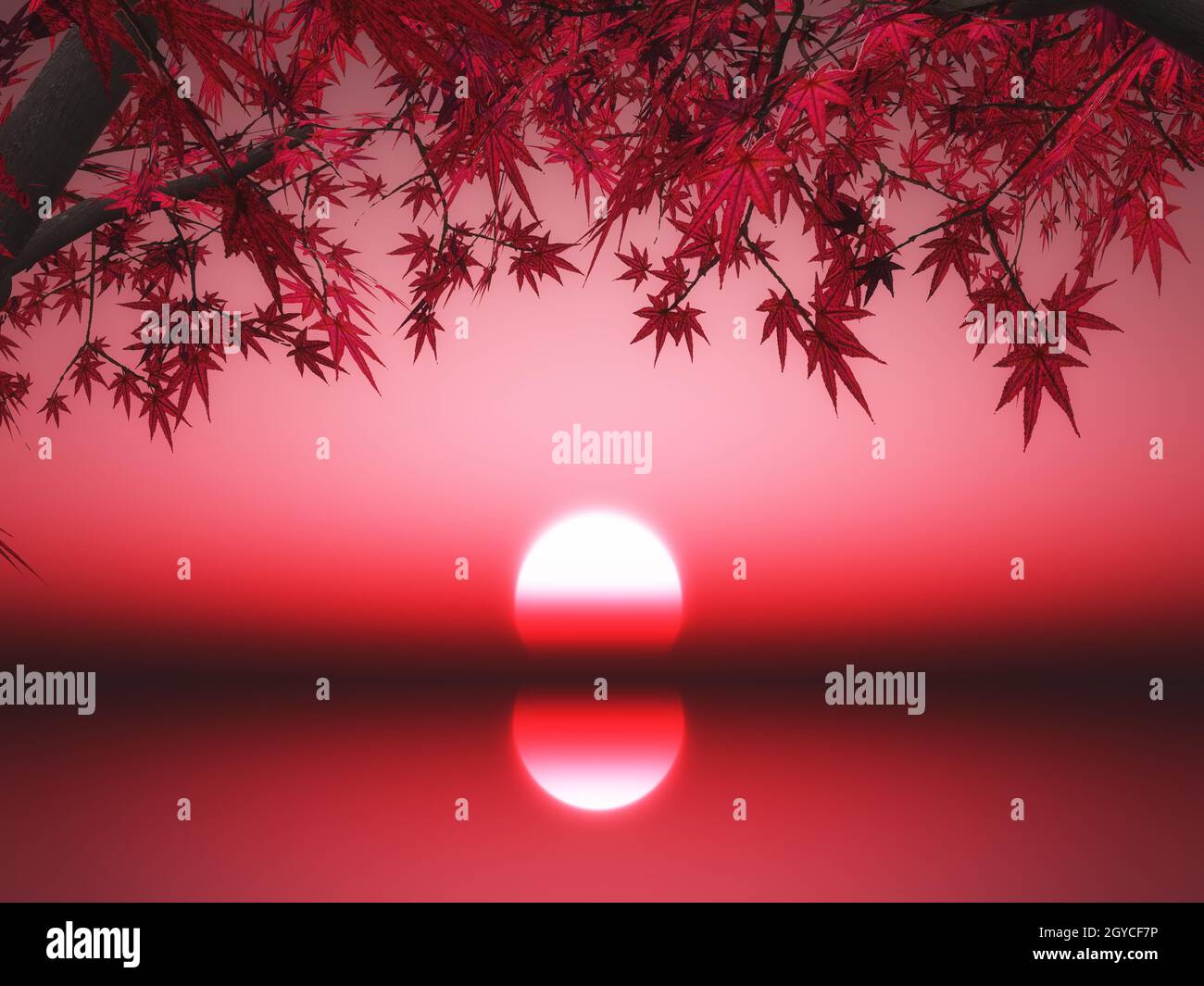 3D render of a Japanese maple tree against a sunset ocean Stock Photo ...