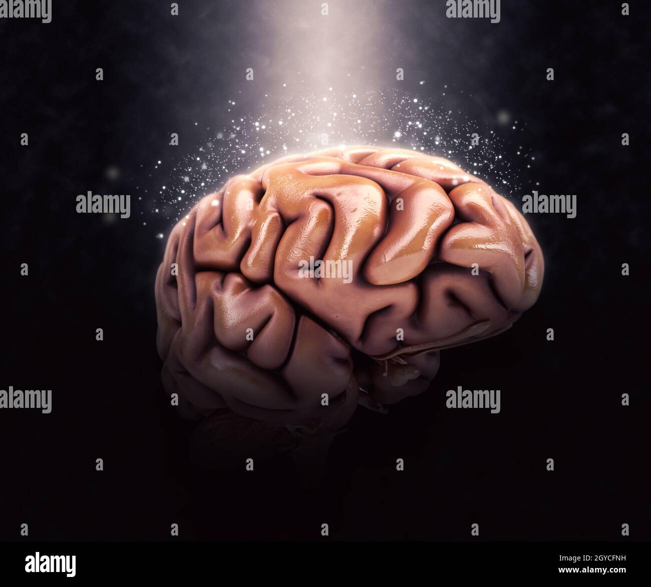3D render of a human brain on a dramatic background Stock Photo - Alamy