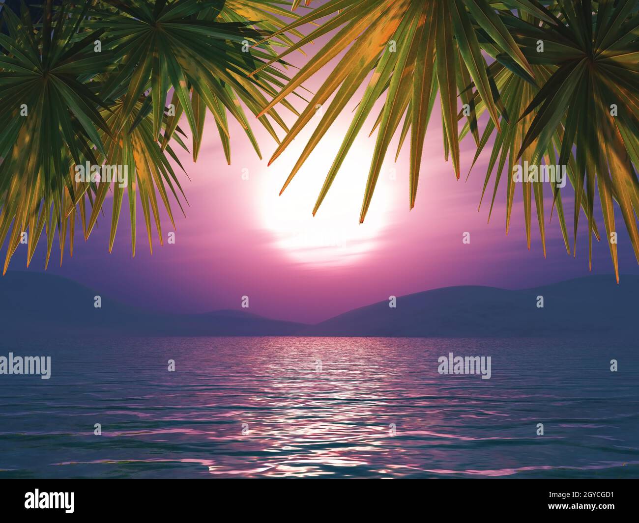 3D render of a sunset ocean landscape with palm tree leaves Stock Photo ...