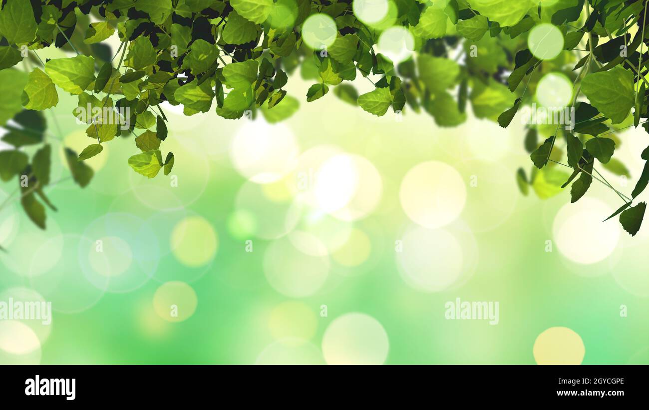 3D render of leaves on a bright sunny defocussed background Stock Photo ...