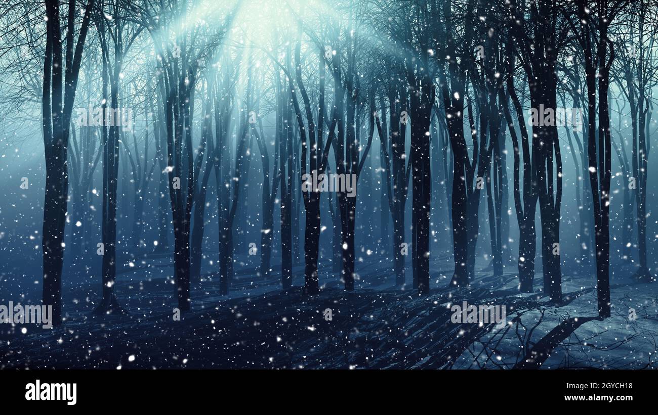 3D background of trees on a foggy snowy day Stock Photo - Alamy