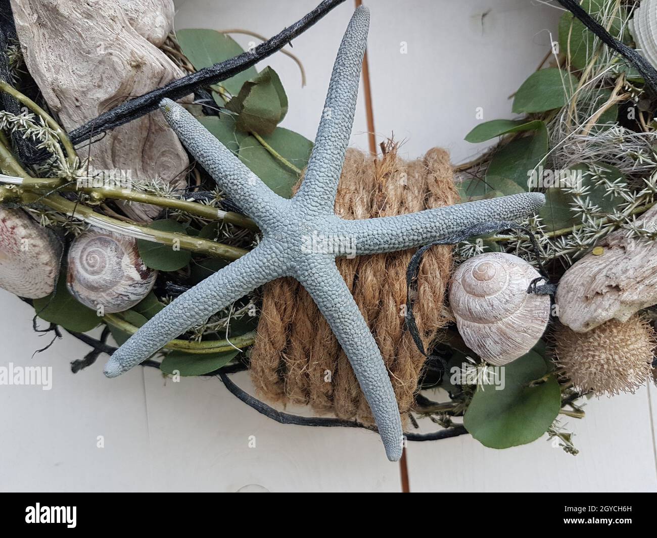 Closeup of a composition made by seashells and leaves and a grey ...