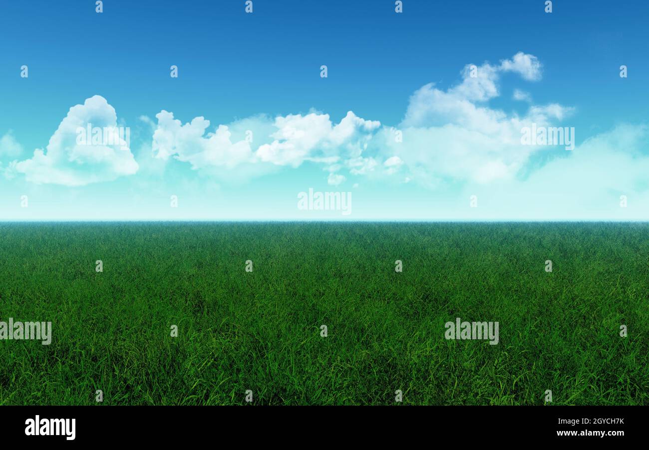 3D render of a grassy field Stock Photo - Alamy