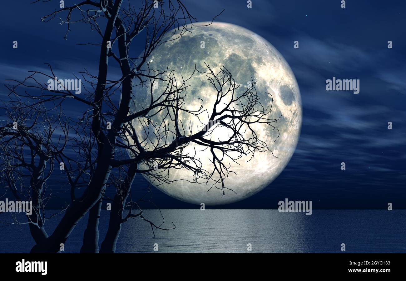 3D landscape background with moon over the sea with dead tree Stock ...