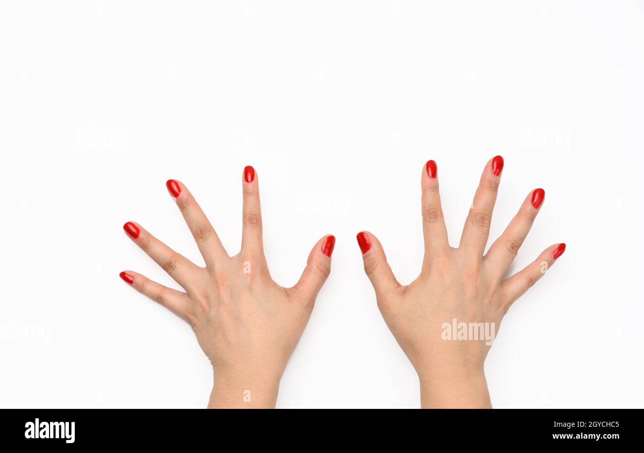 two female hands with red manicure raised up on a white background ...