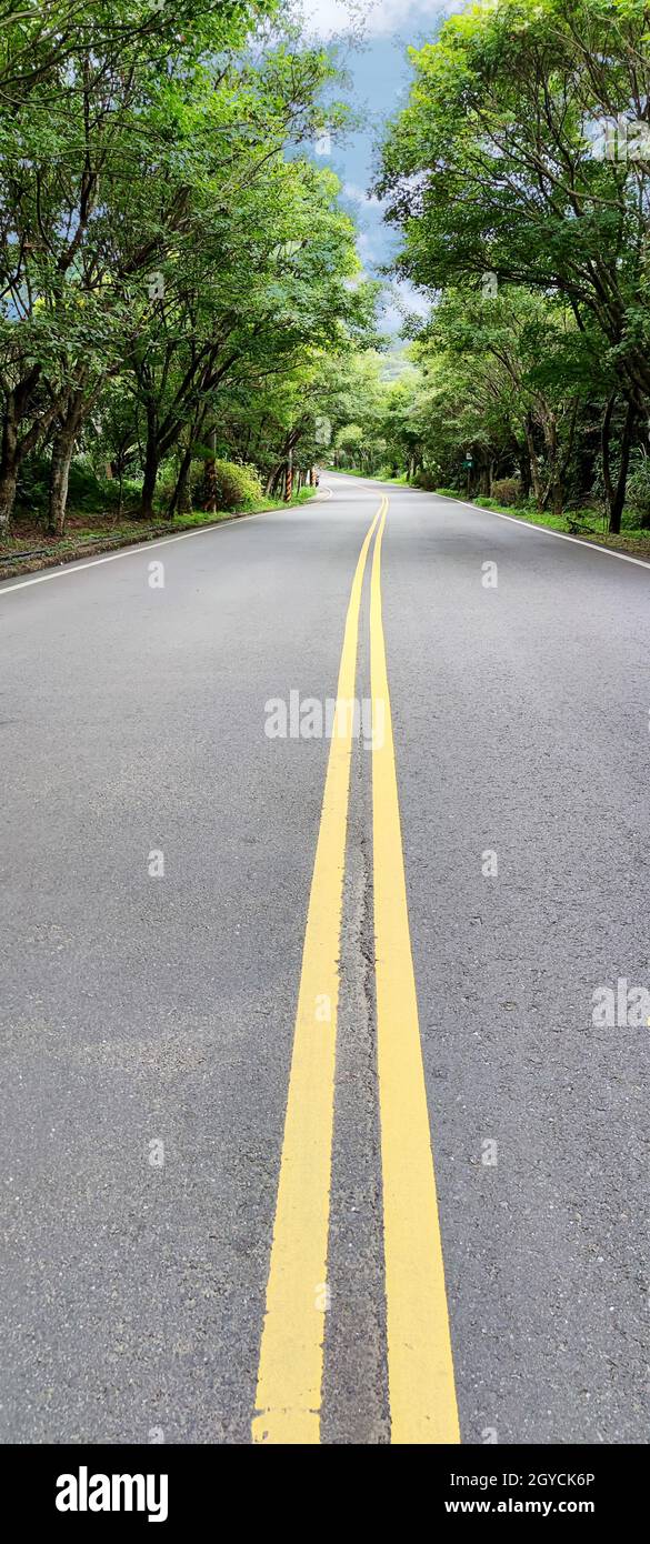The Looking down a tree lined road into the distance Stock Photo - Alamy