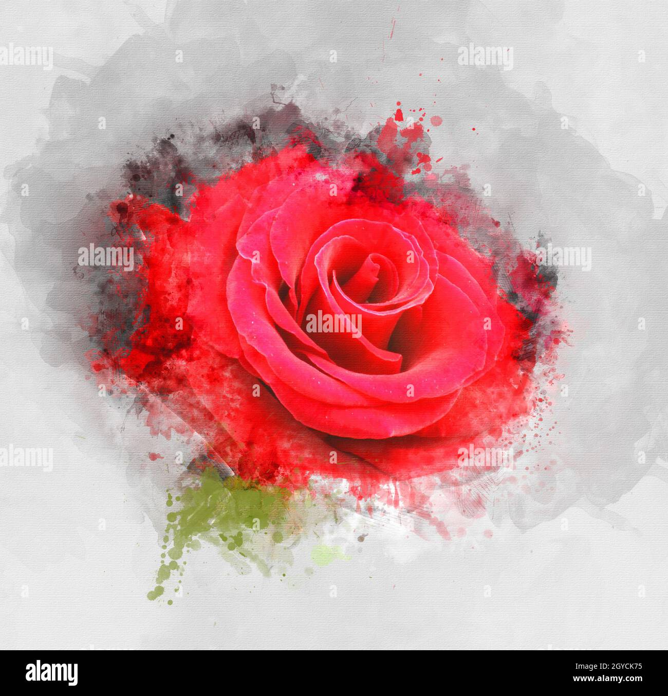 Grunge style image of a red rose Stock Photo - Alamy