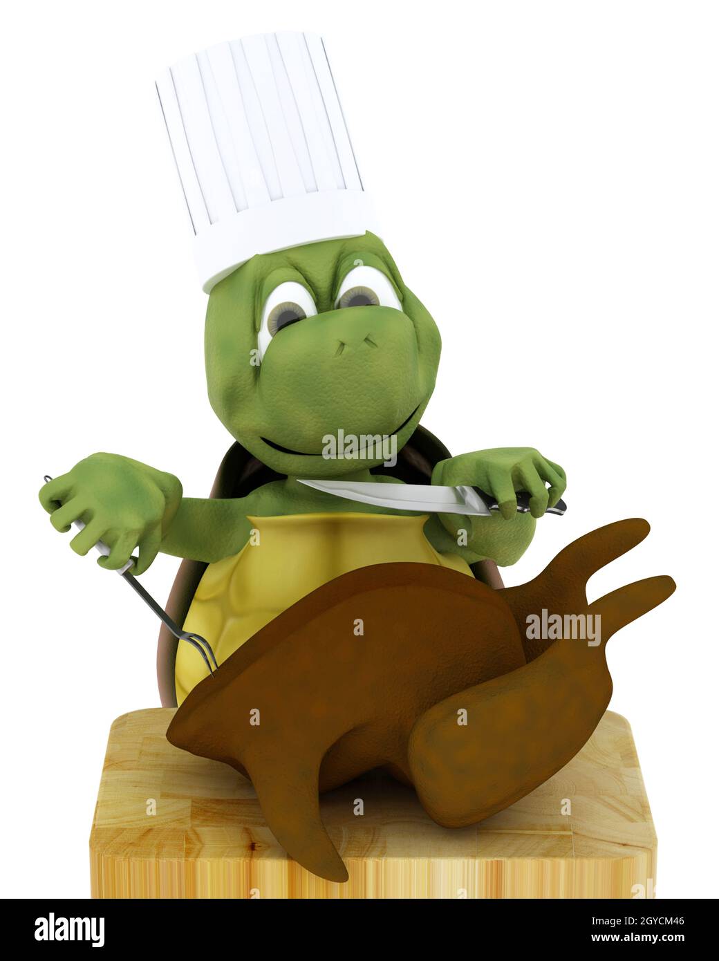 Chicken turtle hi-res stock photography and images - Alamy