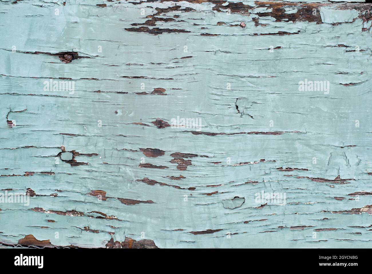 Blue wood texture background coming from natural tree. The wooden panel ...