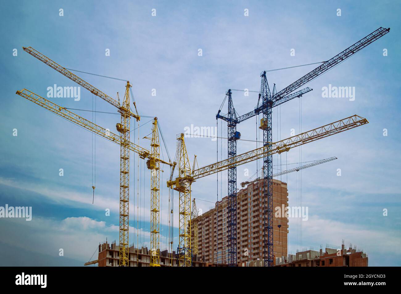 construction cranes are erecting a multi-storey building Stock Photo ...