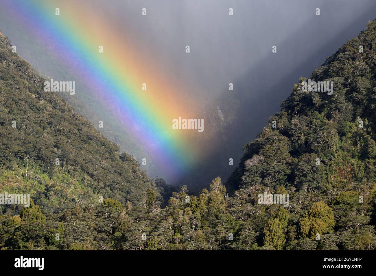 Spectacular rainbow in Fiordland New Zealand Stock Photo - Alamy