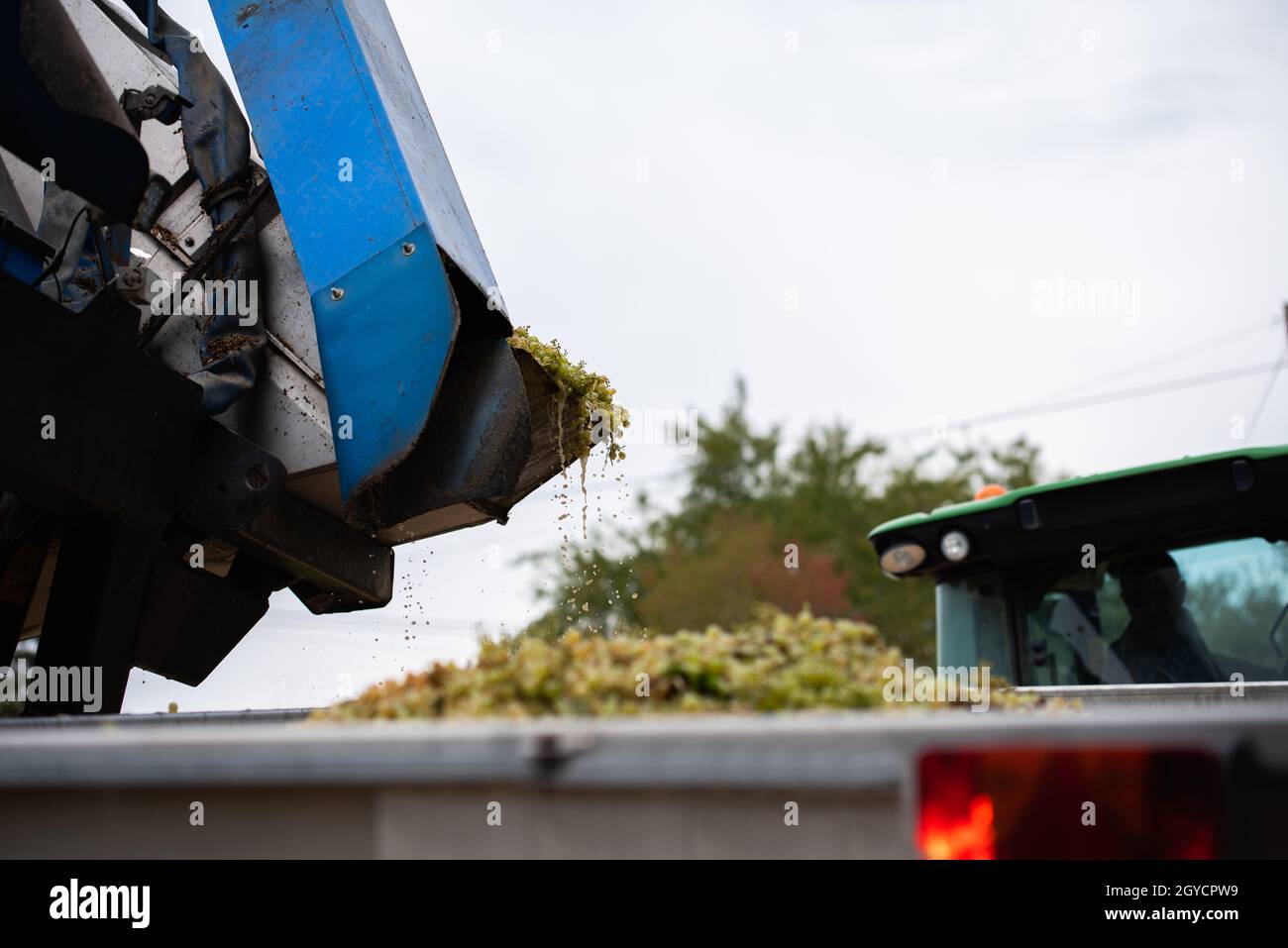 Grape hopper hi-res stock photography and images - Alamy