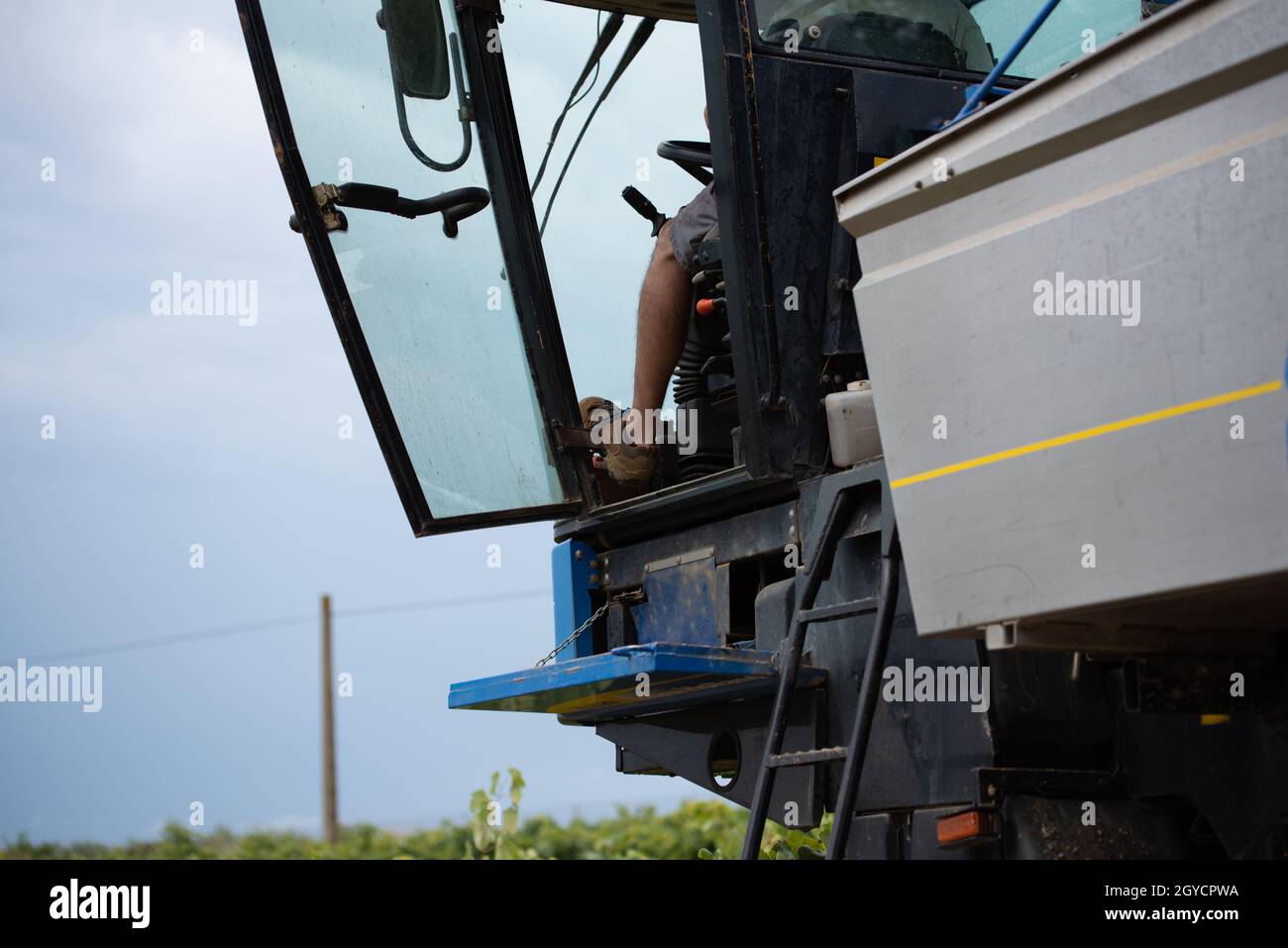Industrial grape harvesting machine on a vineyard Stock Photo - Alamy