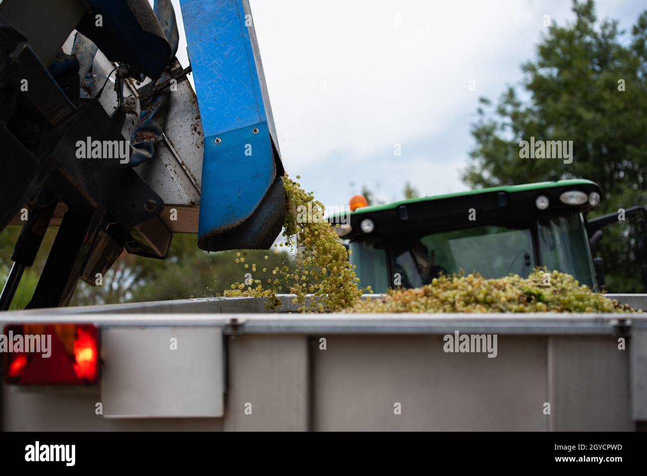 Industrial grape harvesting machine on a vineyard Stock Photo - Alamy