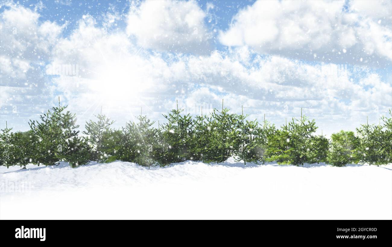 Christmas winter scene with fir trees Stock Photo - Alamy