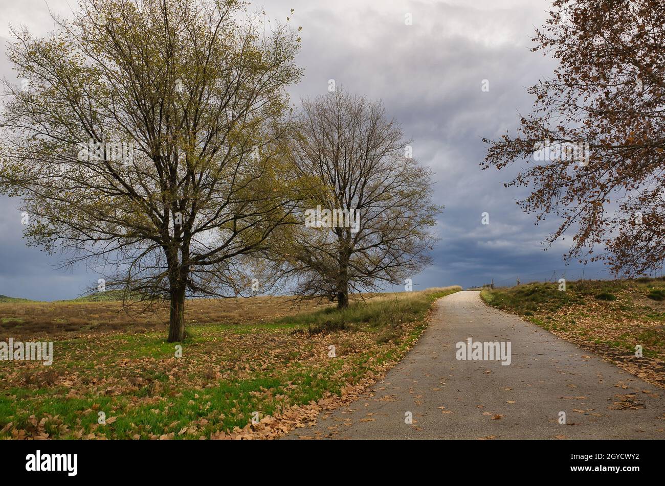 Beautiful autumnal landscape with nice trees and a cloudy sky Stock ...