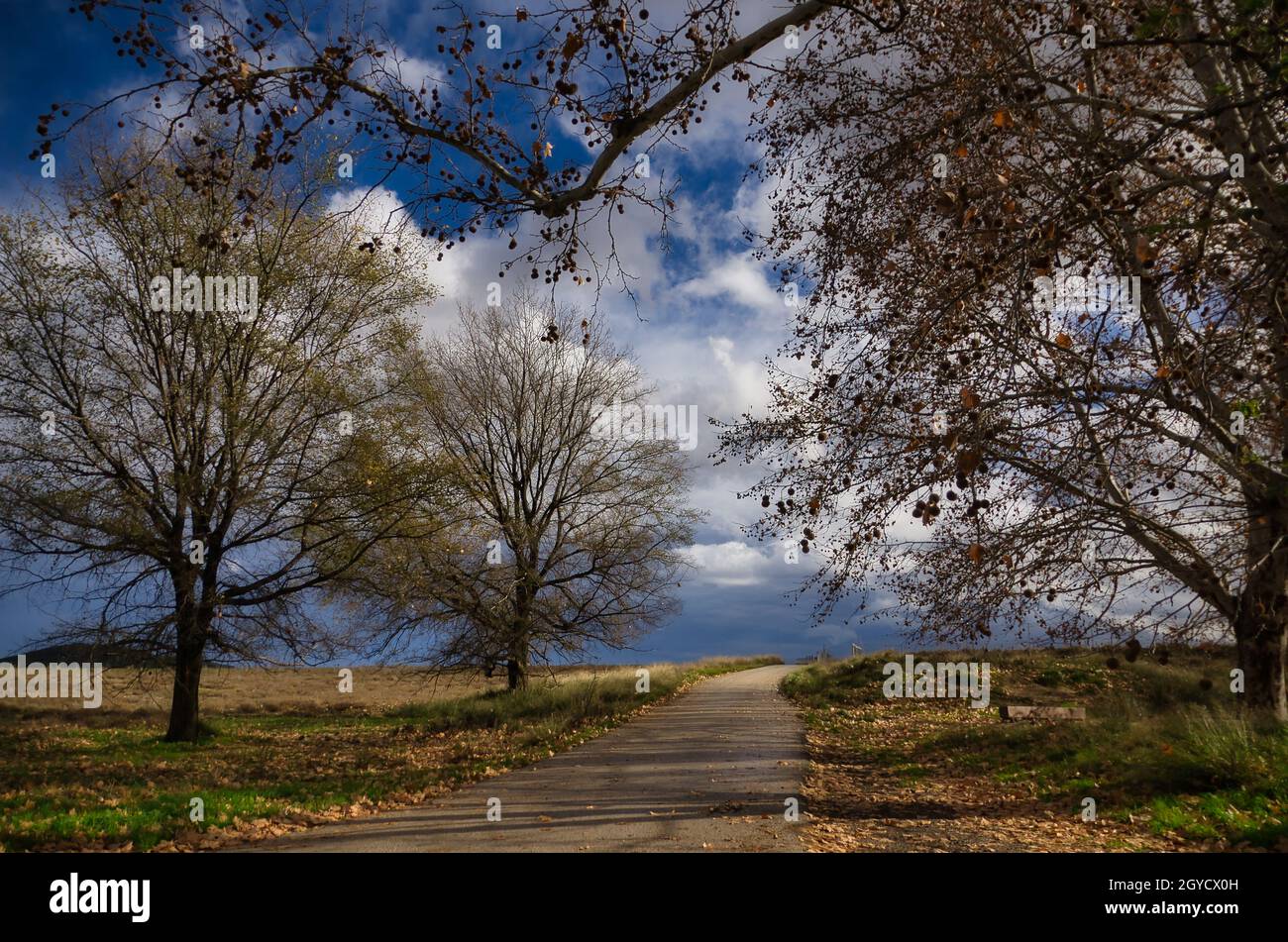 Beautiful autumnal landscape with nice trees and a cloudy sky Stock ...