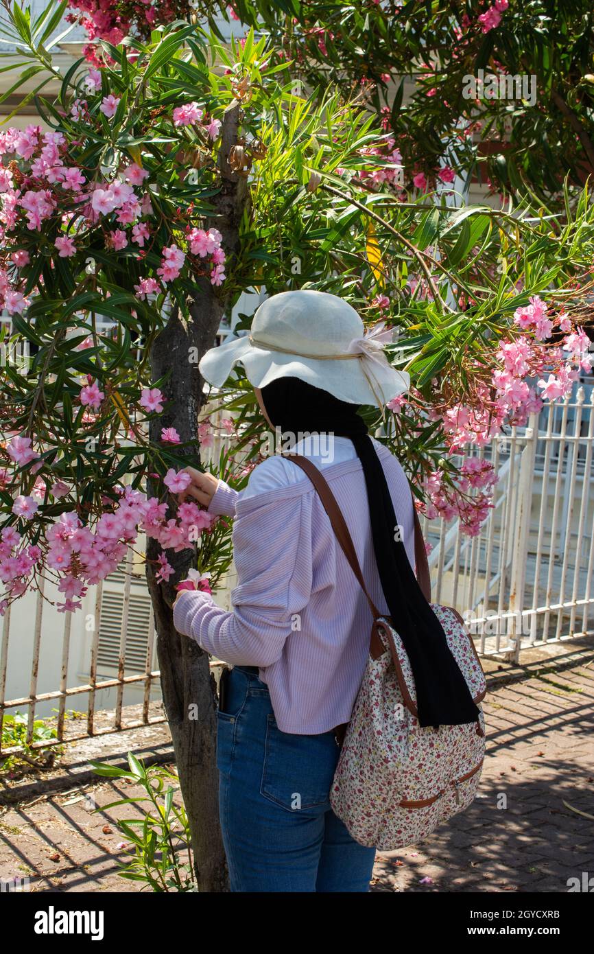 Vertical back view of a female holding the blossomed bright pink ...