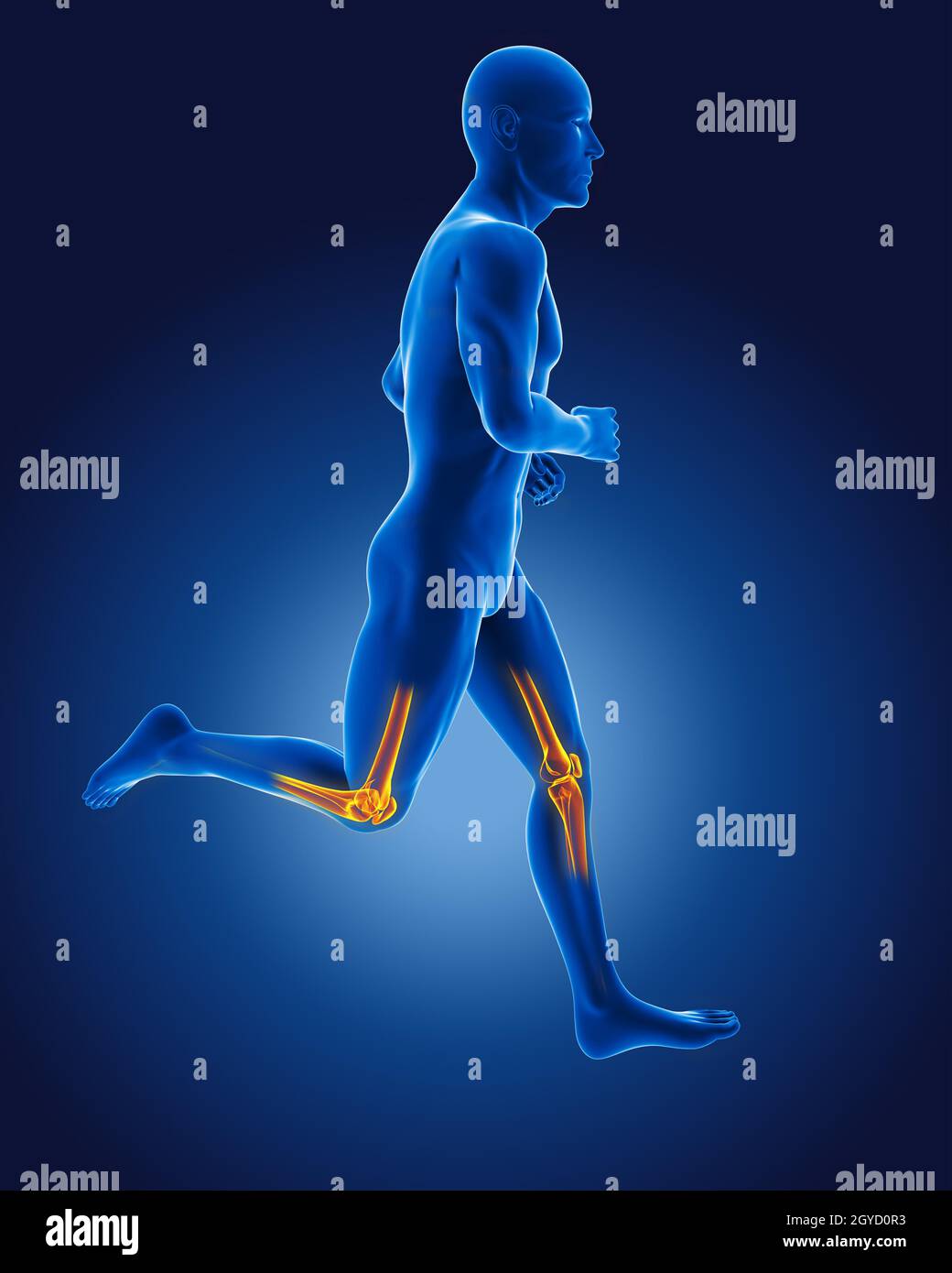 Skeleton running man hi-res stock photography and images - Alamy