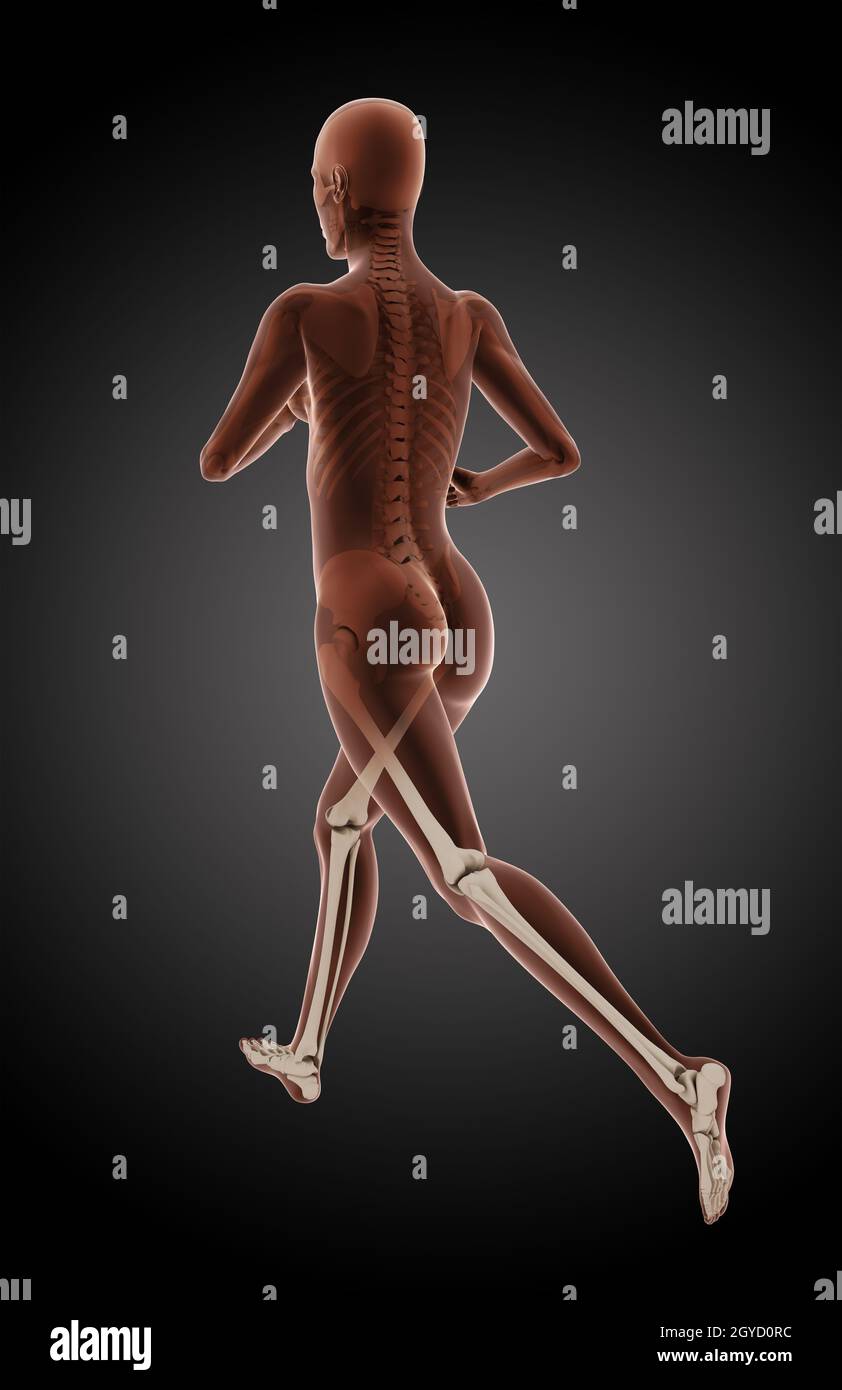 3D render of a female medical running with legs highlighted Stock Photo ...