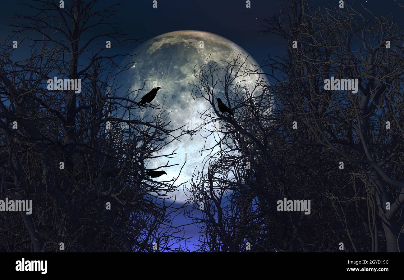 Crows against the sky hi-res stock photography and images - Alamy