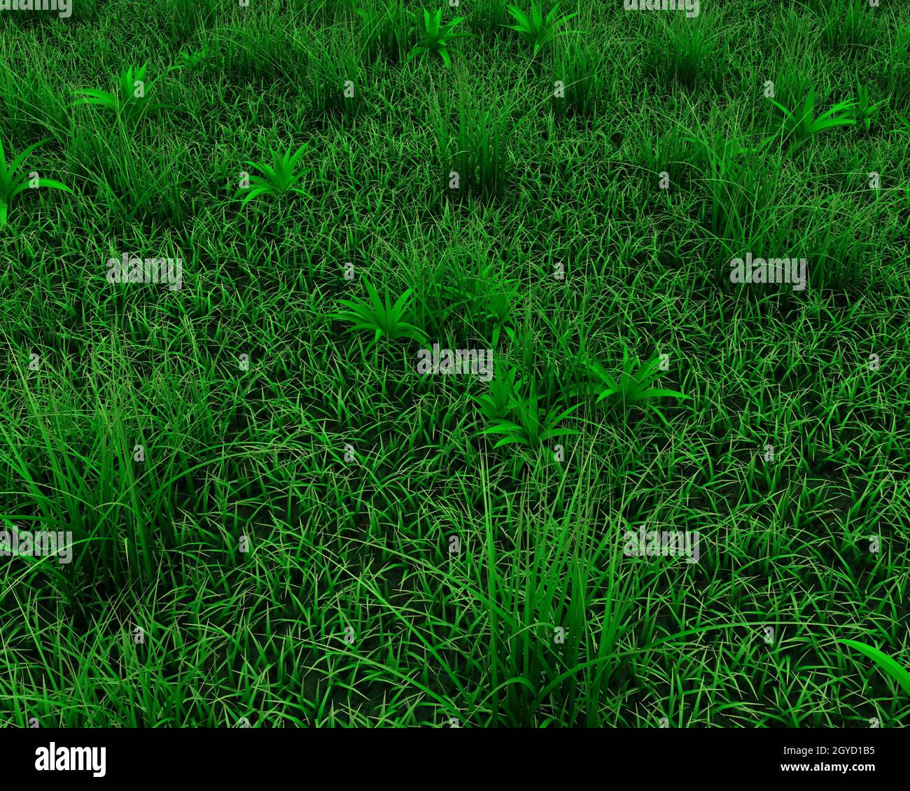 3d render of a spring grass background Stock Photo - Alamy