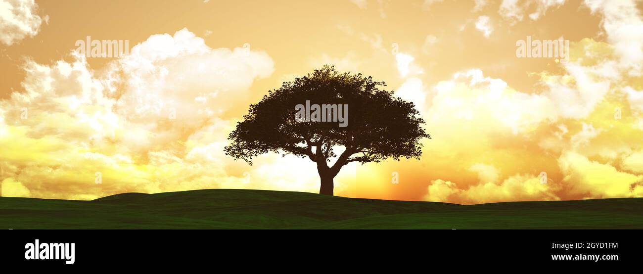 3D render of a sunset tree landscape in widescreen Stock Photo - Alamy