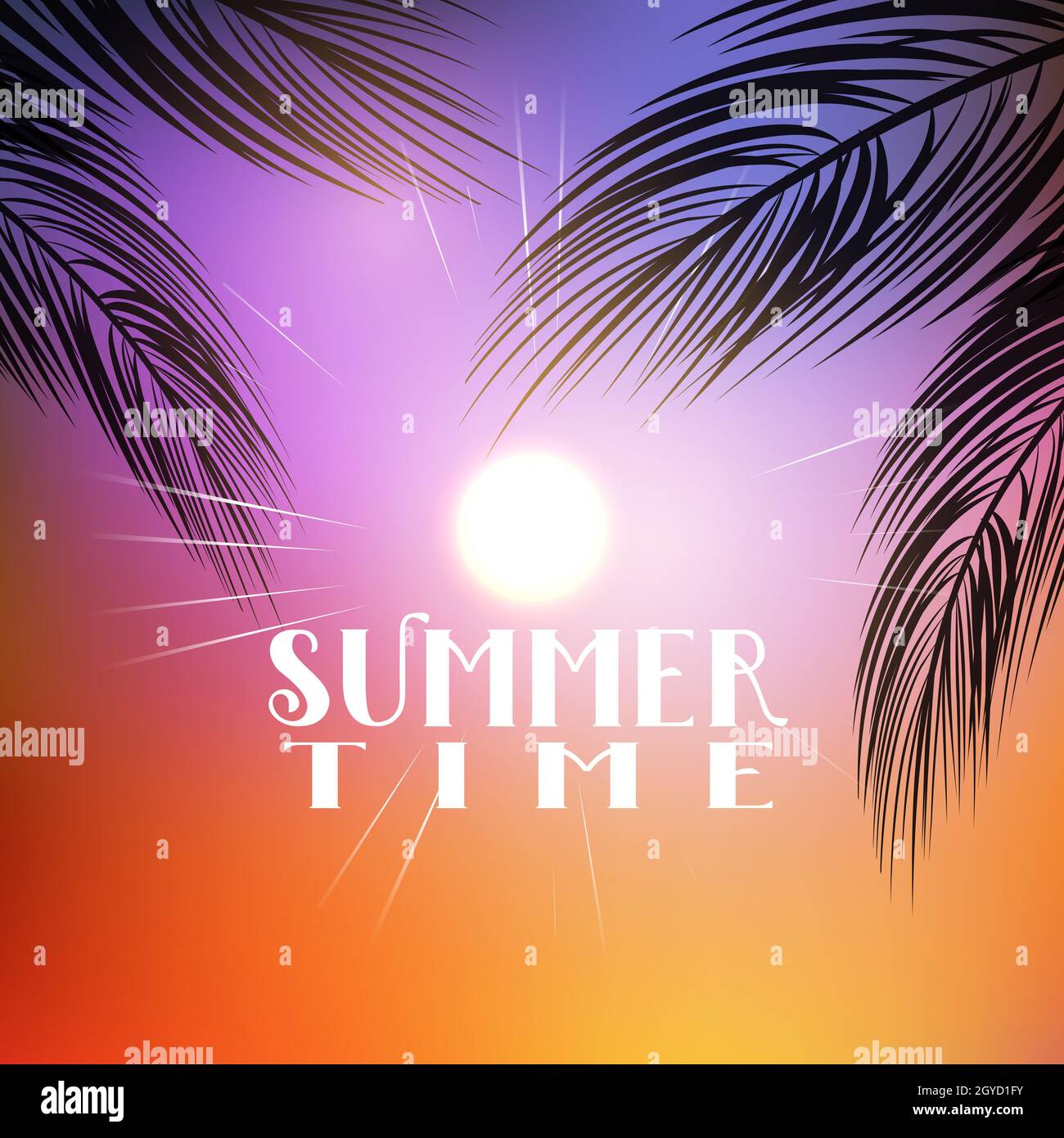 Summer themed background with palm tree branches Stock Photo - Alamy