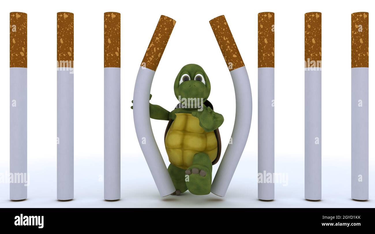 3D render of a tortoise escaping cigarette prison Stock Photo - Alamy