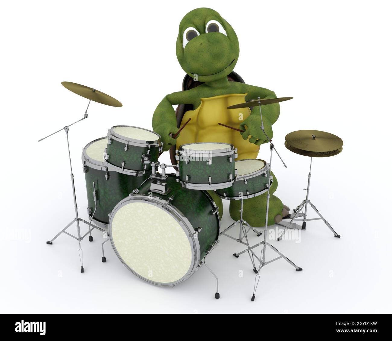 Turtle shell drum hi-res stock photography and images - Alamy