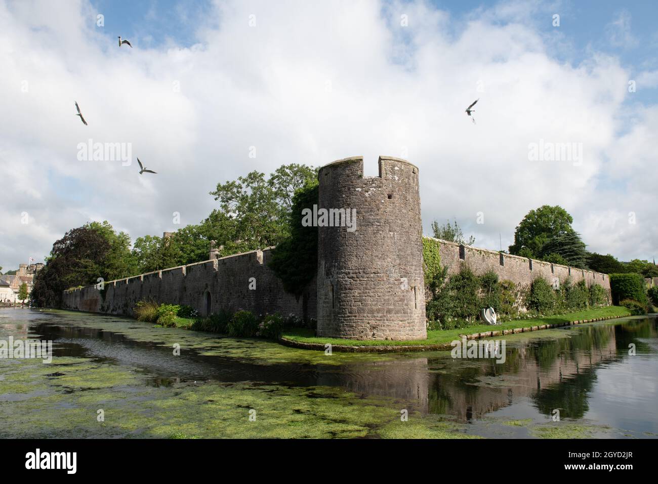 English bishop 14th century hi-res stock photography and images - Alamy