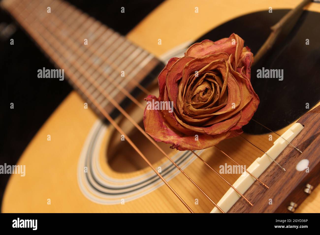 Classic Acoustic Guitar With Dried Roses Stock Photo - Alamy