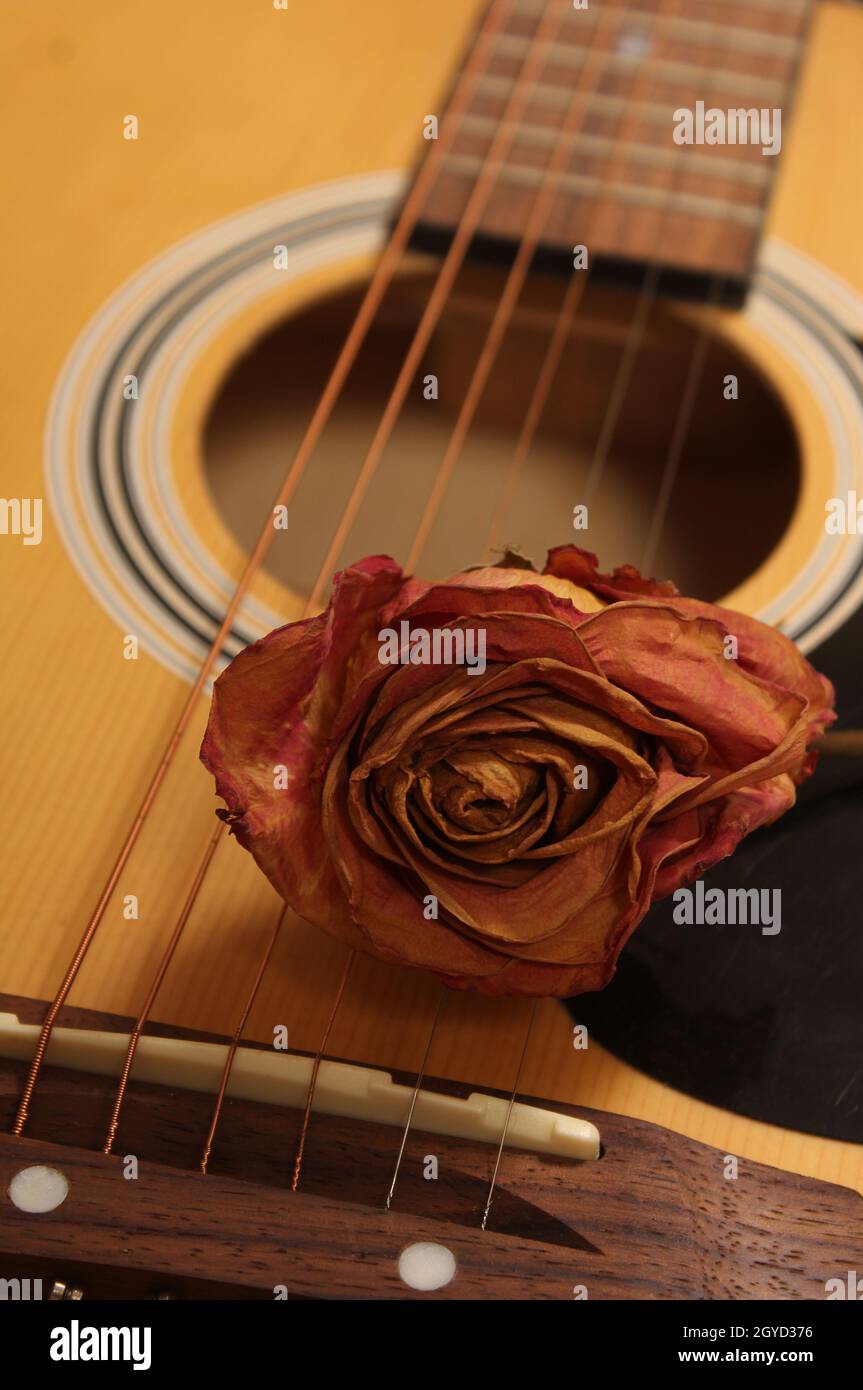 Classic Acoustic Guitar With Dried Roses Stock Photo - Alamy