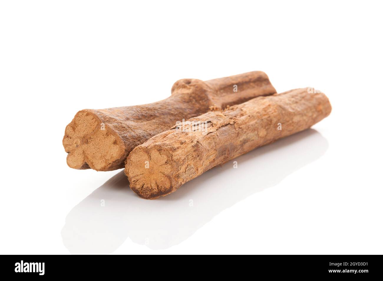 Ayahuasca vine. Banisteriopsis caapi wood isolated on white background ...
