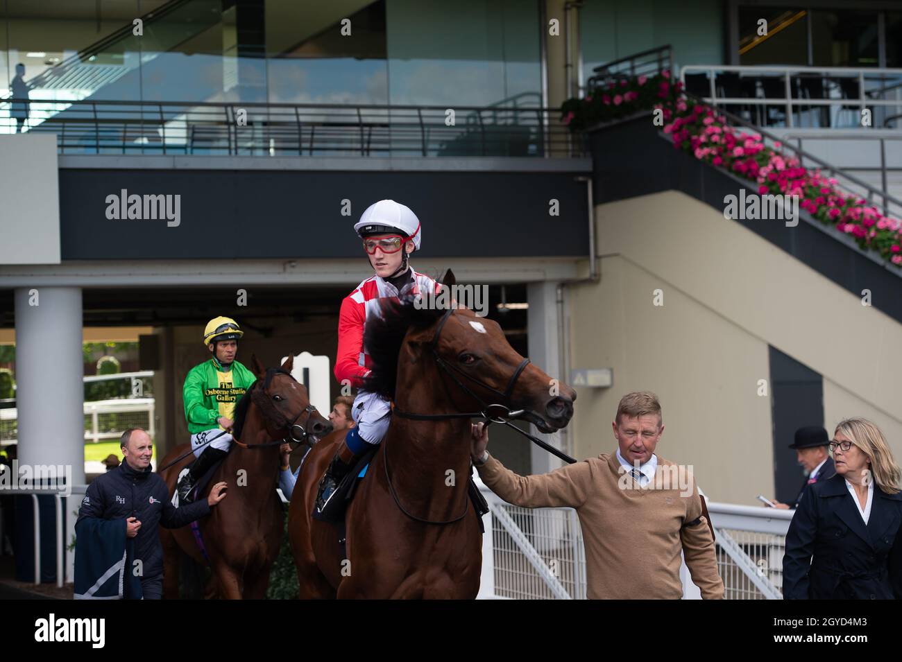 Newmarket racing school hi-res stock photography and images - Alamy