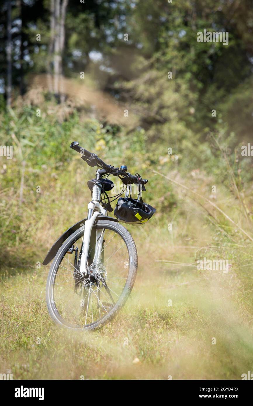 Bike tour. Bike, grass and wood. Outdoors, text space Stock Photo - Alamy