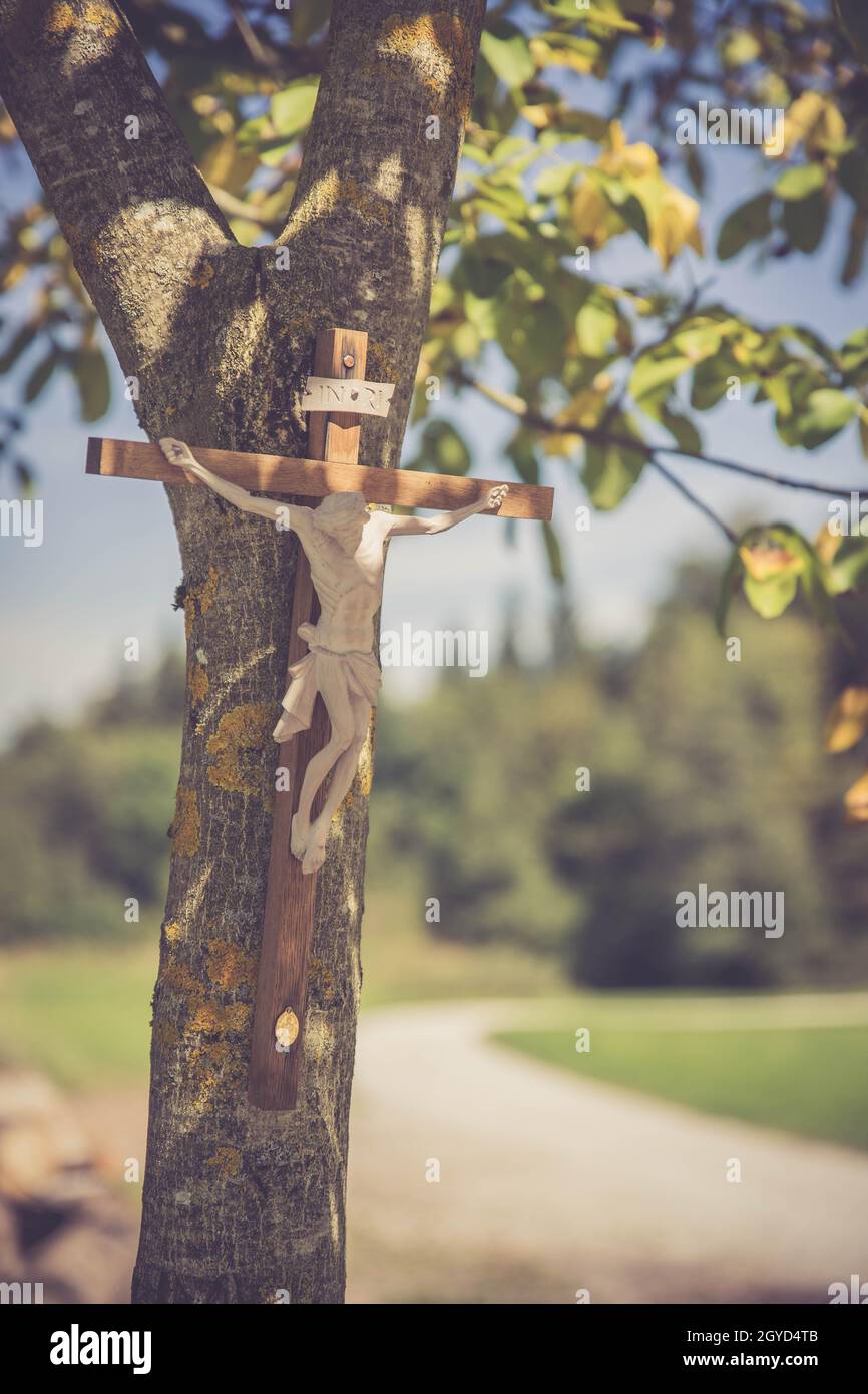Crucifix on a tree, outdoors, jesus christ Stock Photo - Alamy