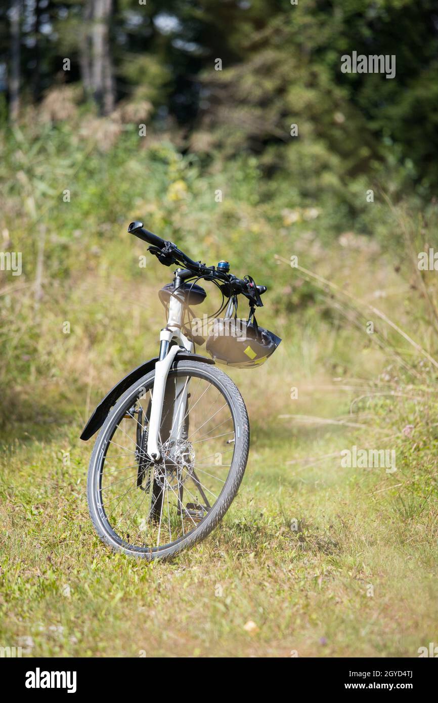 Bike tour. Bike, grass and wood. Outdoors, text space Stock Photo - Alamy