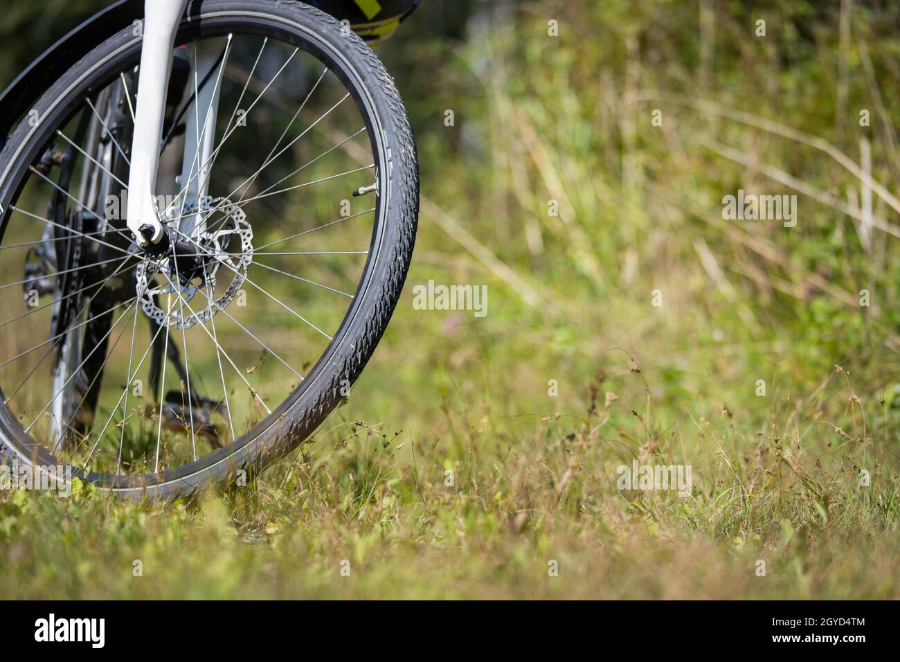 Bike tour. Bike, grass and wood. Outdoors, text space Stock Photo - Alamy